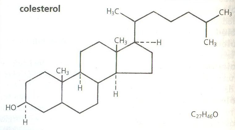 Diccionari enciclopèdic de medicina