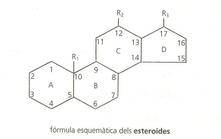 Diccionari enciclopèdic de medicina
