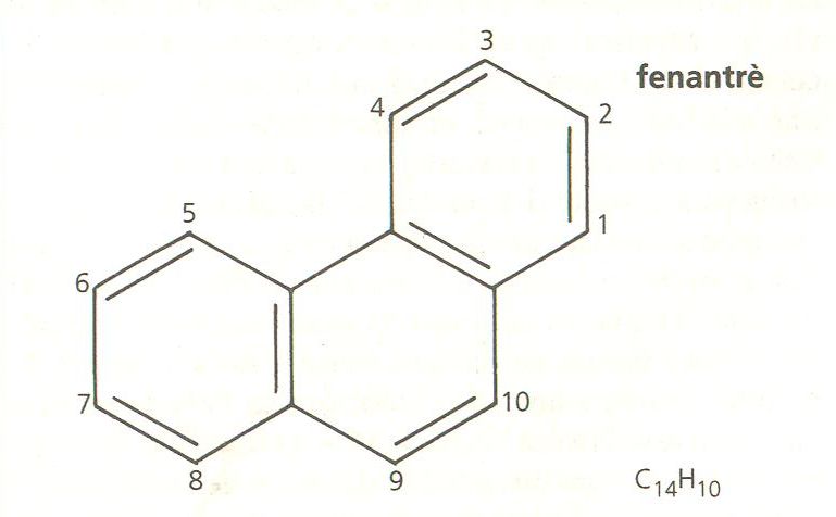 Diccionari enciclopèdic de medicina